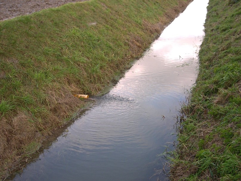 Hoe zit dat met nitraat? | Cichorei teelt informatie | Cichorei teelt ...