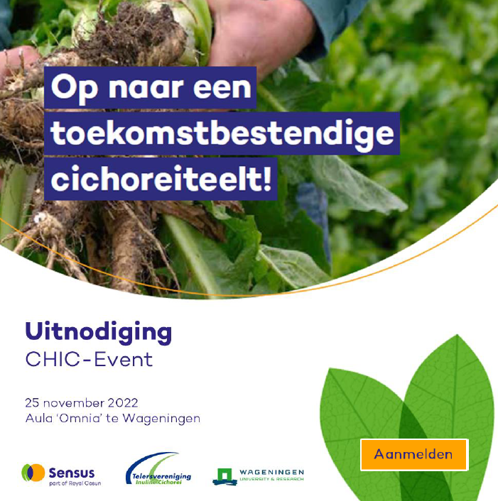 Kom je ook naar het CHIC-event? | Cichorei teelt informatie | Cichorei ...